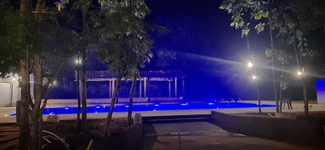 Sanjay Resort Baghela Heritage - Tiger Safari Experience | Sanjay Dubri ...